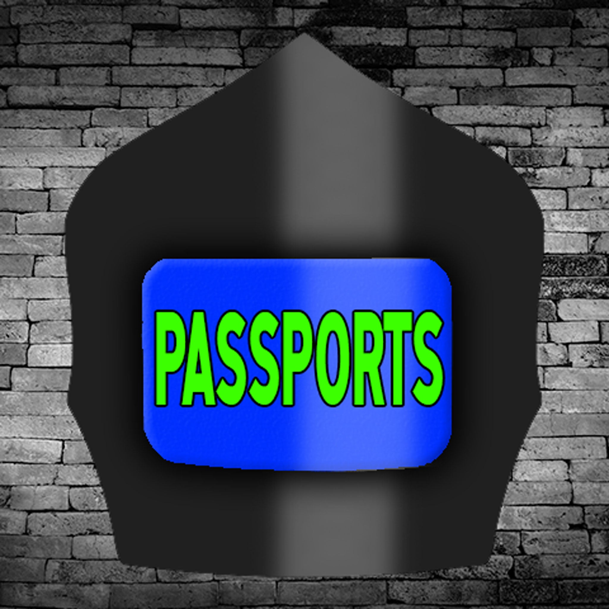 Passport Only | Replacements for Taylor's Tins Passport Helmet Shields