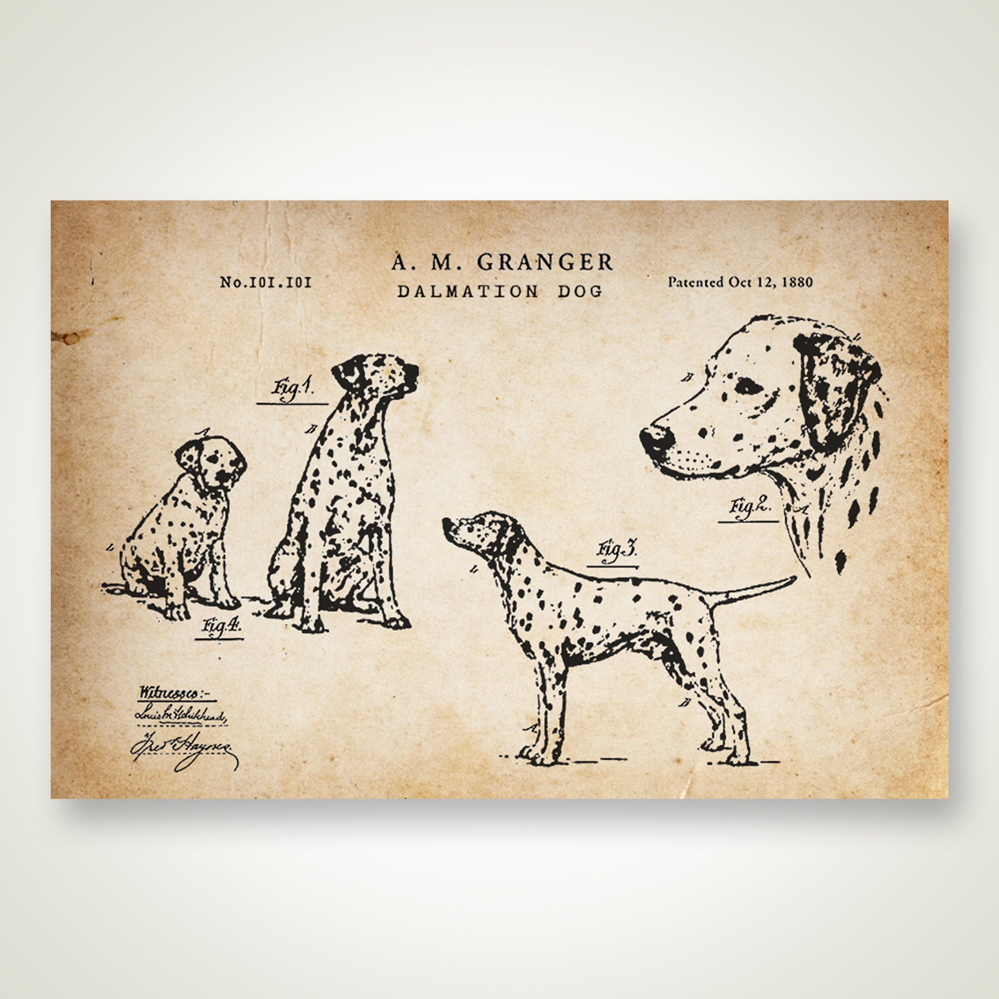 Dalmatian Dog Vintage Metal 12x18 sign – Taylor's Tins